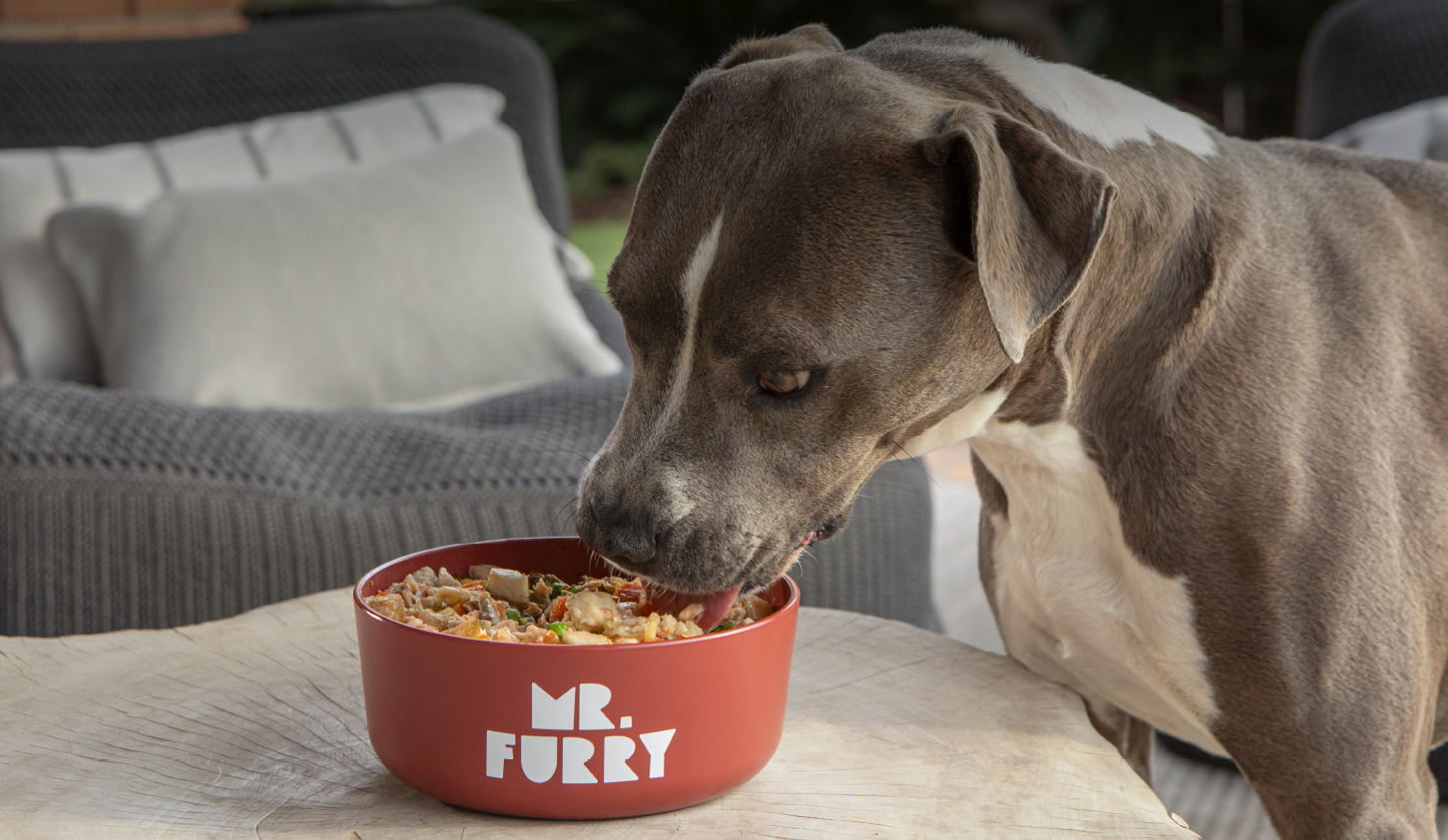 Comida cocinada natural para perros - Mister Furry